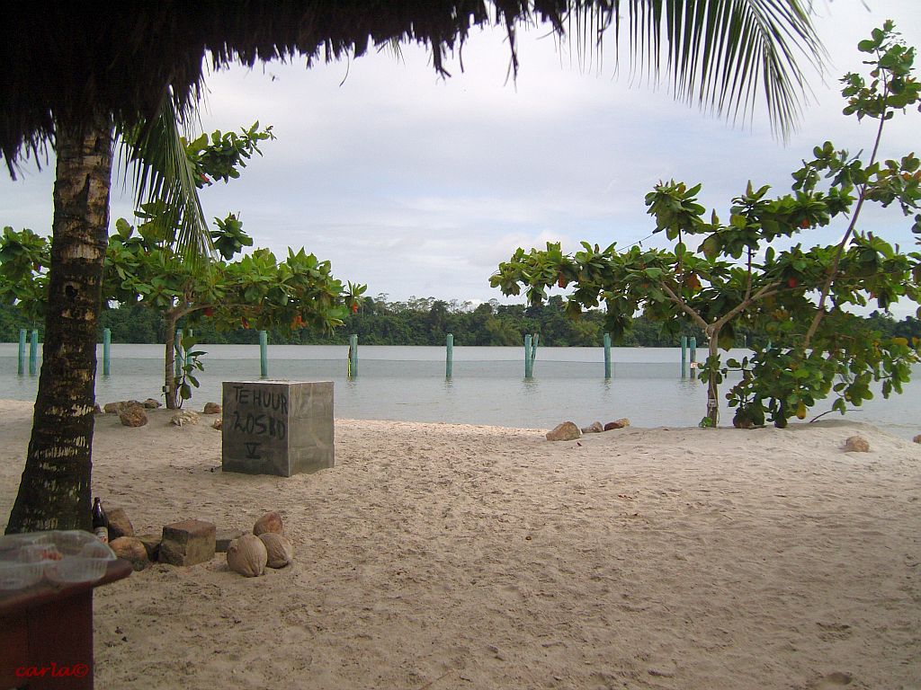 SURINAME: WHITE BEACH