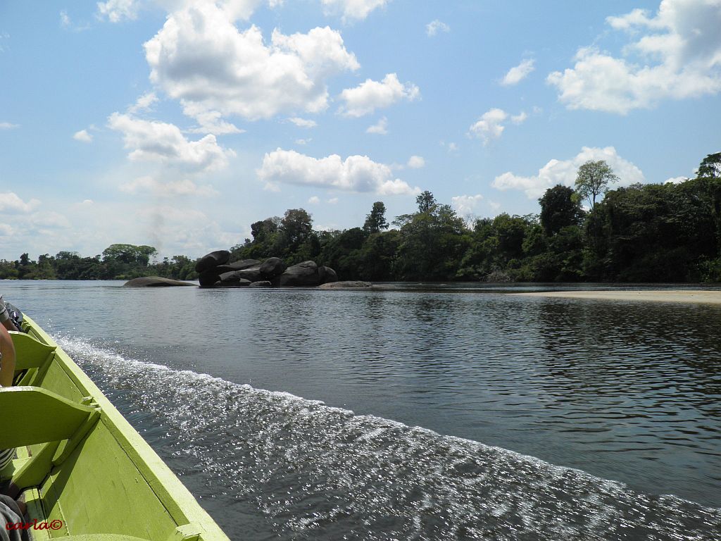 SURINAME: SURINAME RIVIER in het BINNENLAND
