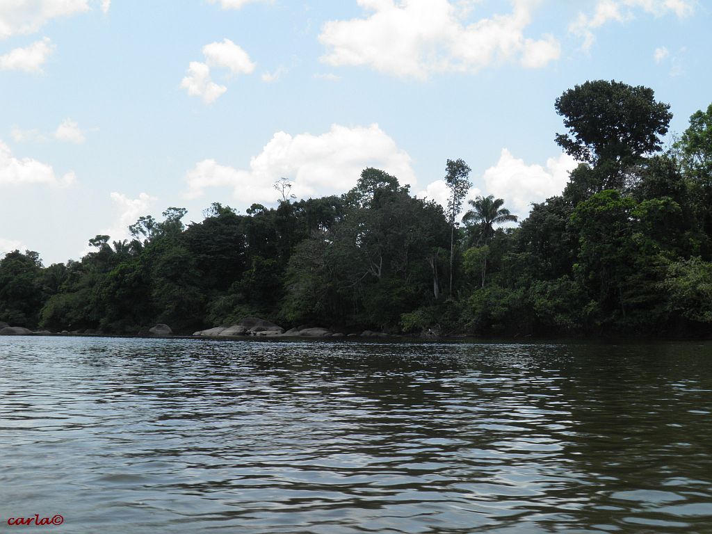 SURINAME: SURINAME RIVIER in het BINNENLAND