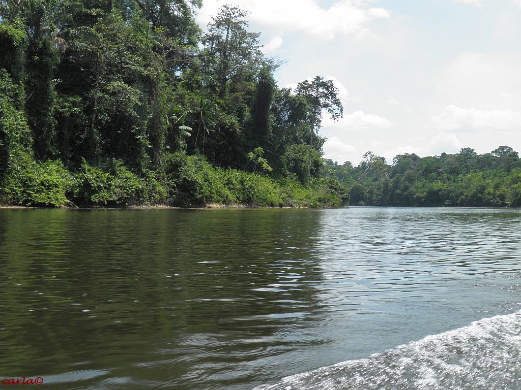 SURINAME: SURINAME RIVIER in het BINNENLAND