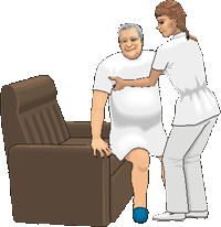 .: Cuidador de Idosos: convênio DAPIBGE/CENIB