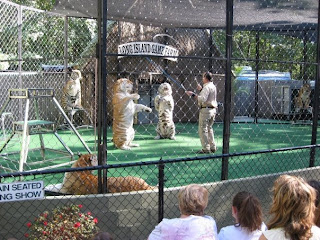 The Circus "NO SPIN ZONE": John Campolongo--Long Island Game Farm