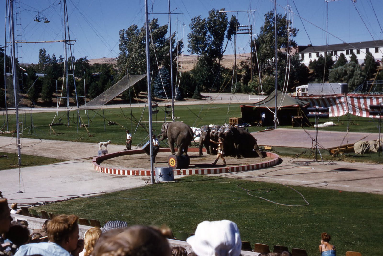 The Circus "NO SPIN ZONE": Mack and Peggy MacDonald--Stead AFB Reno ...