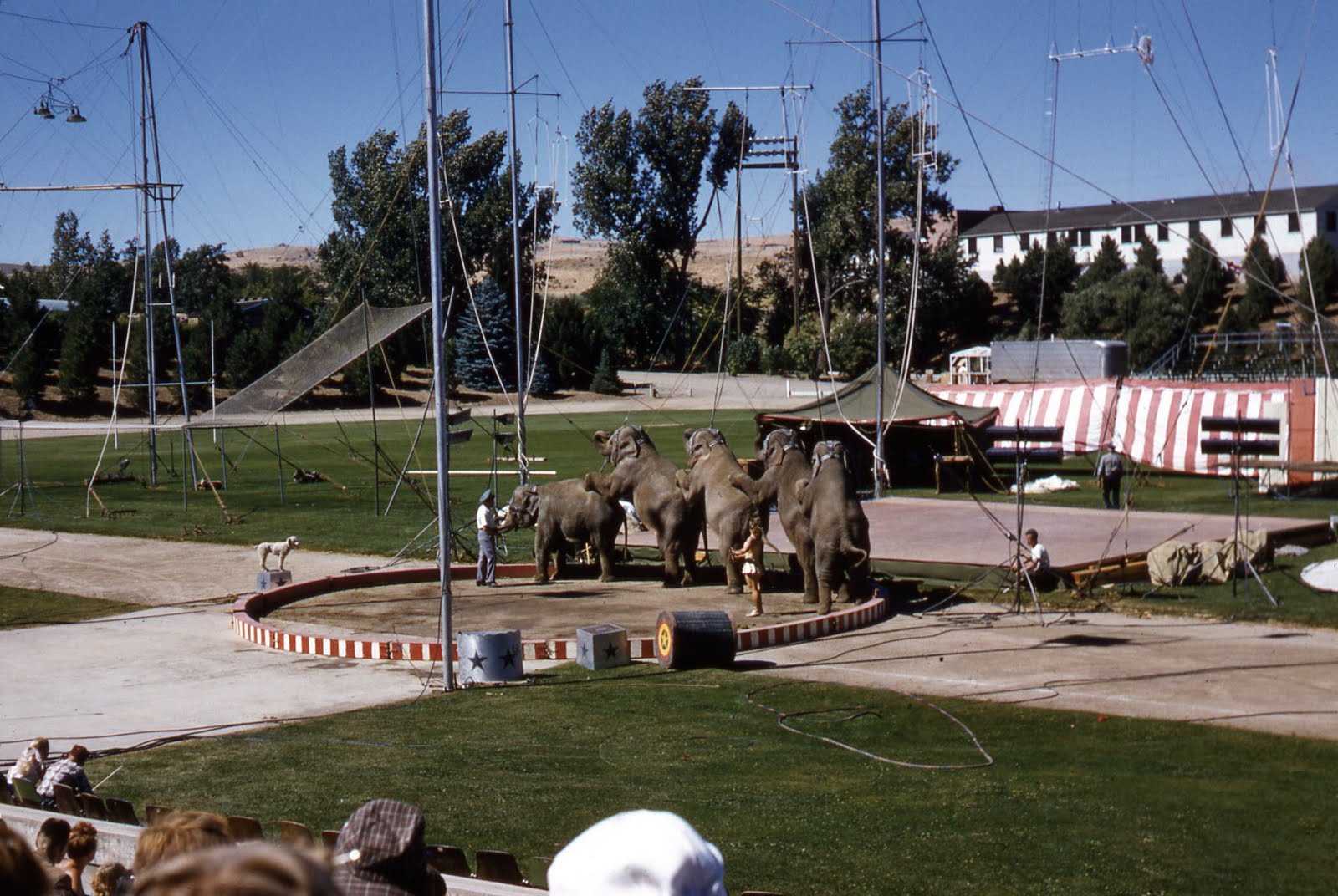 The Circus "NO SPIN ZONE": Mack and Peggy MacDonald--Stead AFB Reno ...