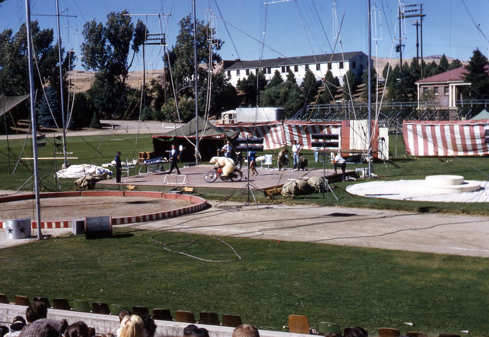 The Circus "NO SPIN ZONE": Hawthorn Paramount Bears--Stead AFB Reno ...