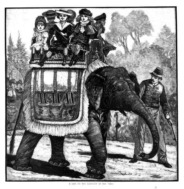 The Circus "NO SPIN ZONE": 01/28/11