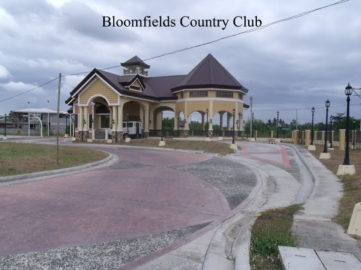 Bloom Fields Lot for Sale: Bloom Fields Davao
