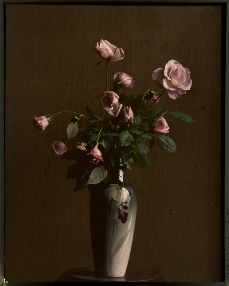Felix Nadar Room: Autochrome Lumiere - Nature, Flowers
