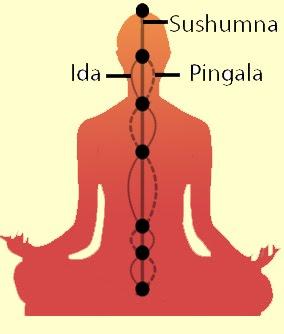 Pingala - JungleKey.in Image #150