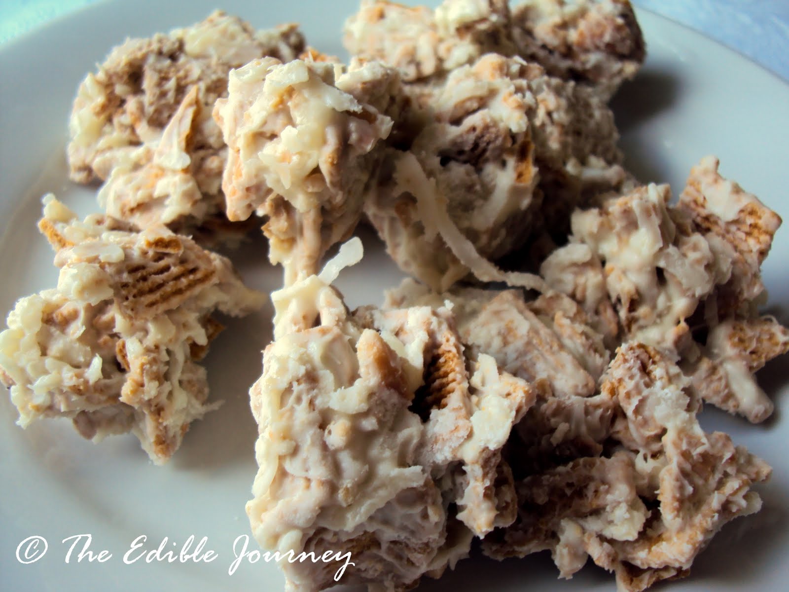 The Edible Journey: Coconut Clodhoppers