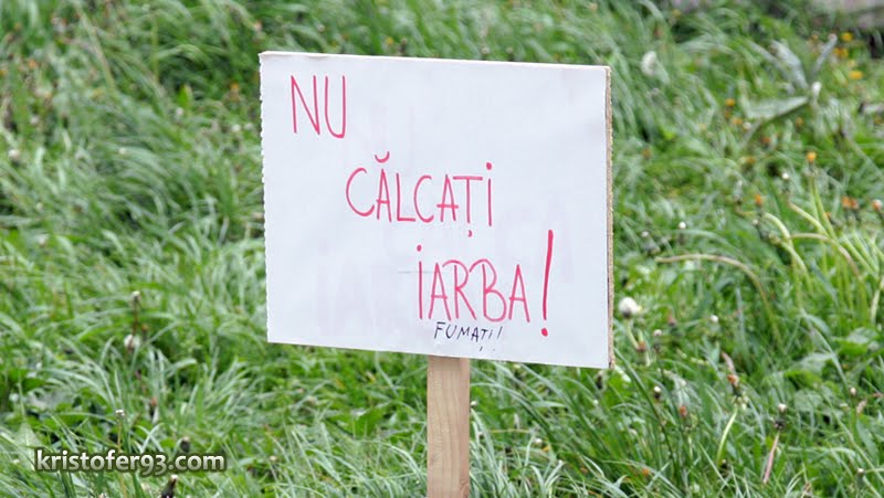 Nu calcati iarba, fumati-o! - Ghinghes.ro