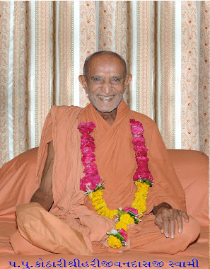 JAY SWAMINARAYAN: Jay Shree Swaminarayan