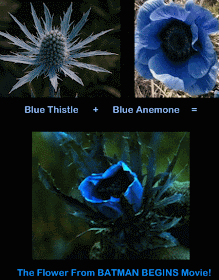 Remember that blue flower that Bruce takes it up to castle of League of ...
