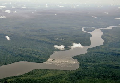 PADUREA AMAZONIANA | Pentru curiosi