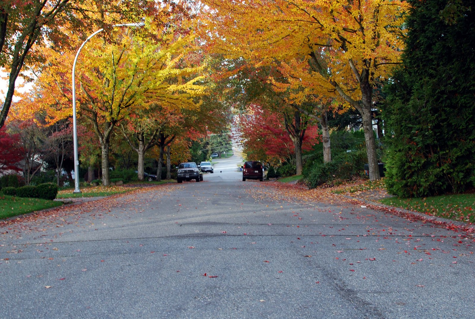 THRU the WINDSHIELD: Fort Langley fall shots