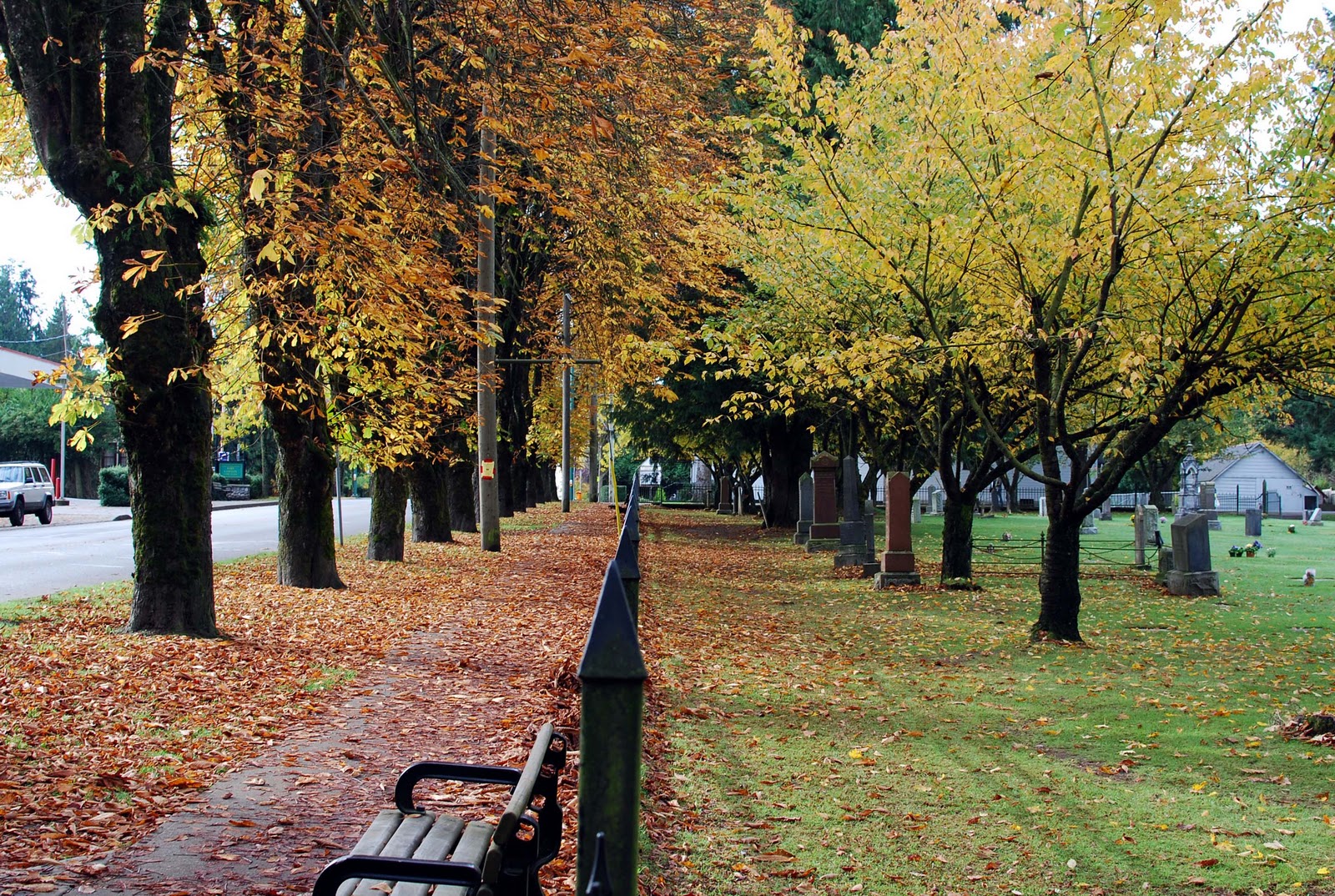 THRU the WINDSHIELD: Fort Langley fall shots