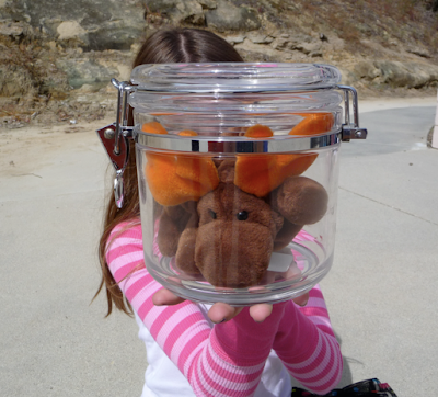 Mrs. Yollis' Classroom Blog: Science: A Light Lesson!