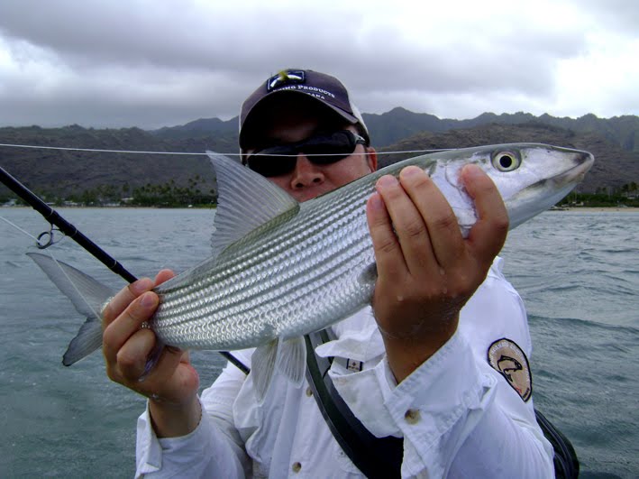 four seasons angling club: Hawaiian Bonefish - Oio.