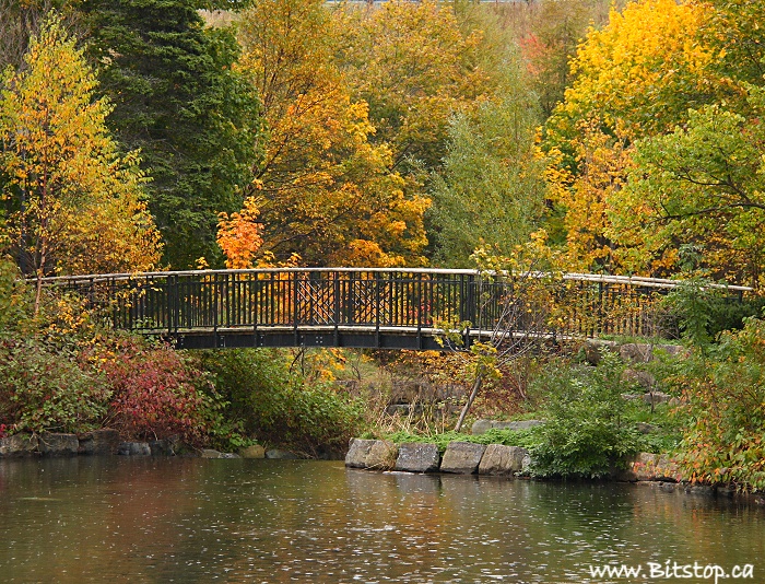 Bitstop: Bowring Park