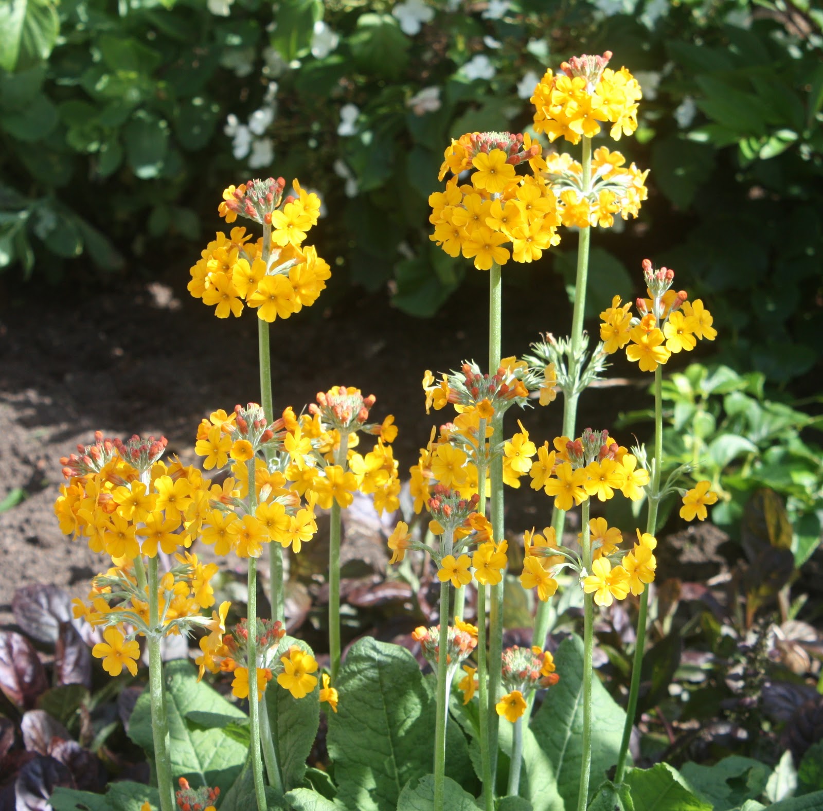 Livingin22: 2010-09-26