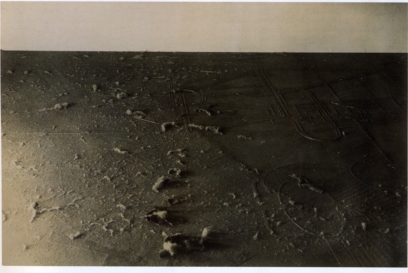 MIDDLE: Dust Breeding