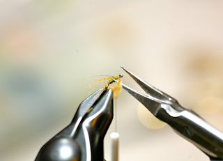 The Hopper Juan: Randy's Baetis Nymph, #20