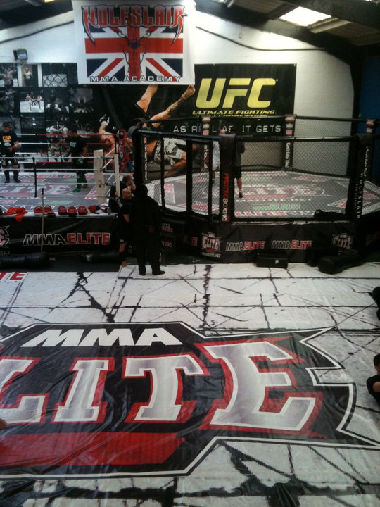 MMA Elite: MMA Elite Wolfslair Academy Unveiled!