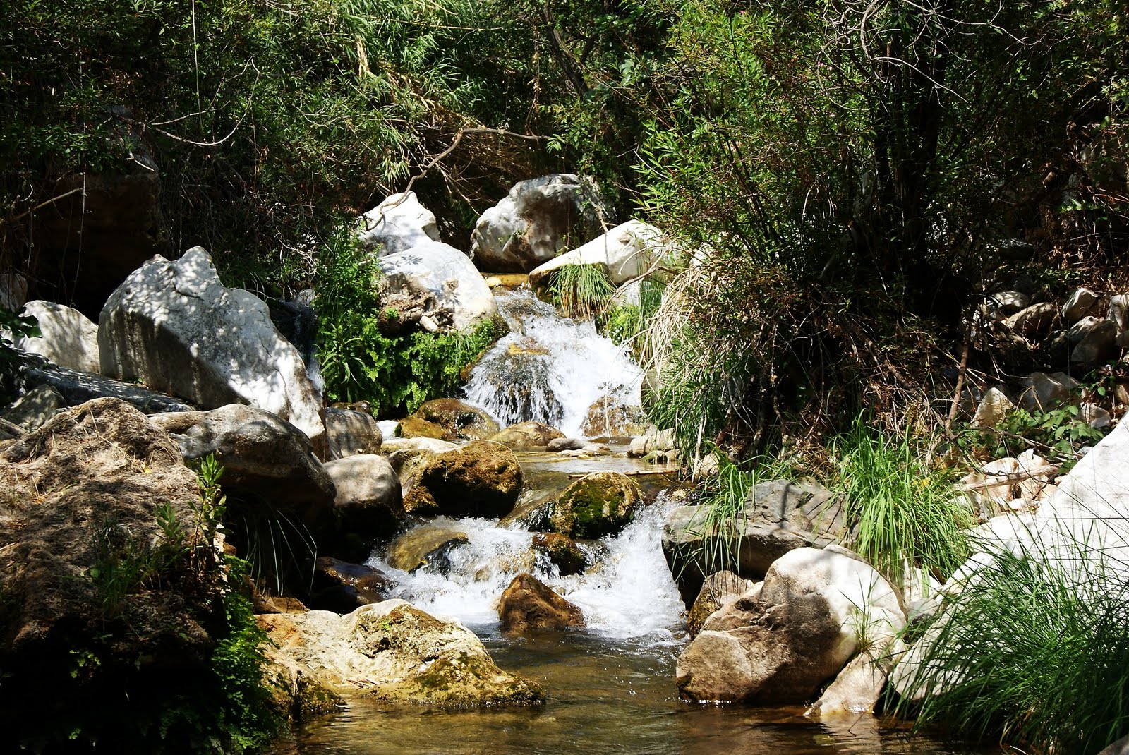 la experiencia de viajar: Barranco Blanco, Coín (Málaga)
