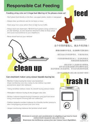 Singapore Community Cats: New "Responsible Cat Feeding" Poster - Please ...