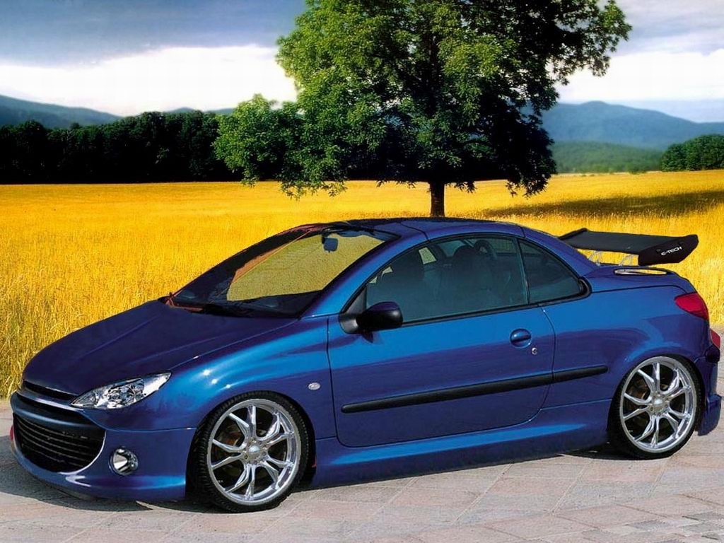 Blog Of Autorizm: 3d peugeot cars color blue