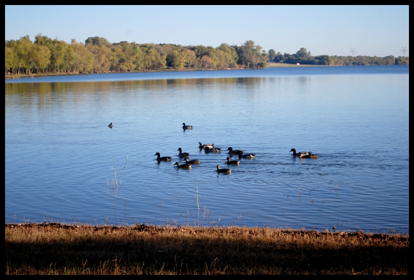 Beautiful Texas: Camping at Loyd Park