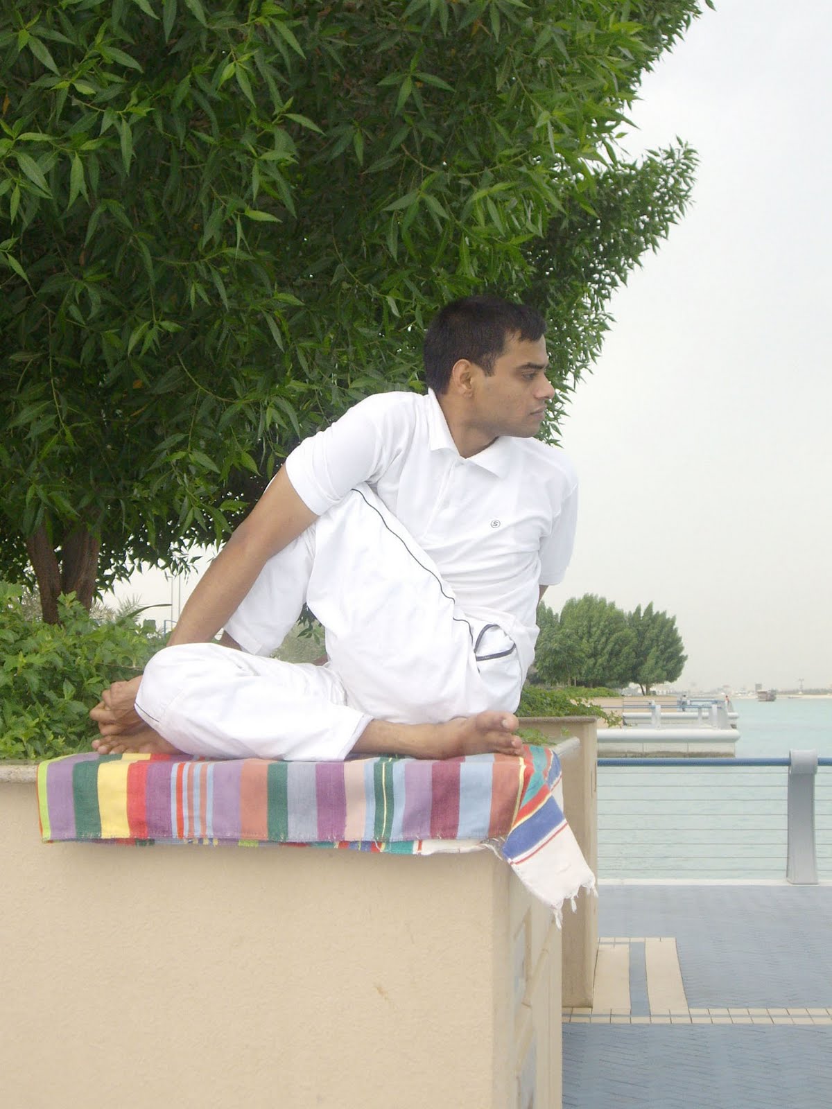 Health Tips, Yoga, Meditation, Ayurvedic, Siddha etc: Yoga ASANA (POSTURE)