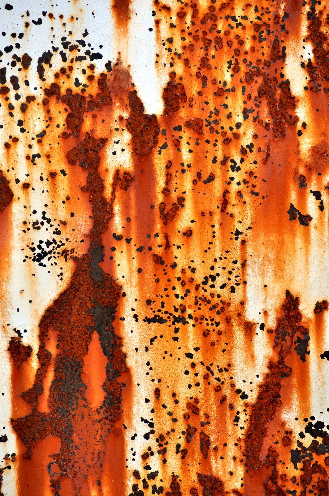 LuAnn Kessi: Rust Hunting...