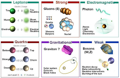Astronomy: four fundamental forces