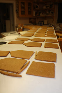 Everyday Cookies: Look at what we built! Gingerbread houses!