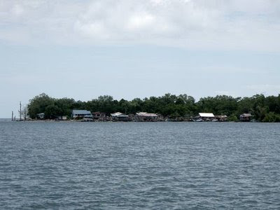 Memancing di perairan pantai timur Sabah: Black bass from Kuala Meruap