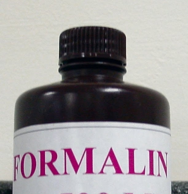 Dunia Kita: Formalin masuk ke dalam tubuh melalui mulut dan pernafasan