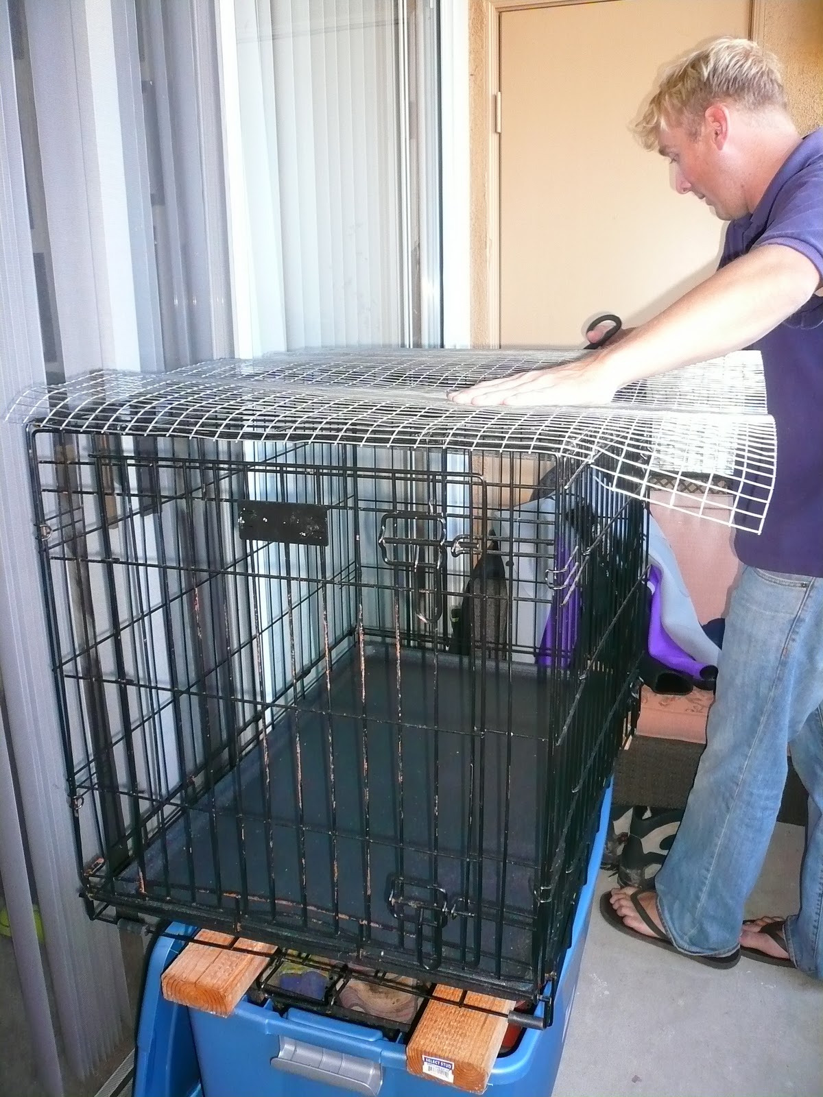 Kicking My Own: Rationalizing Rabbits, The Art of Cuteness, and A ...