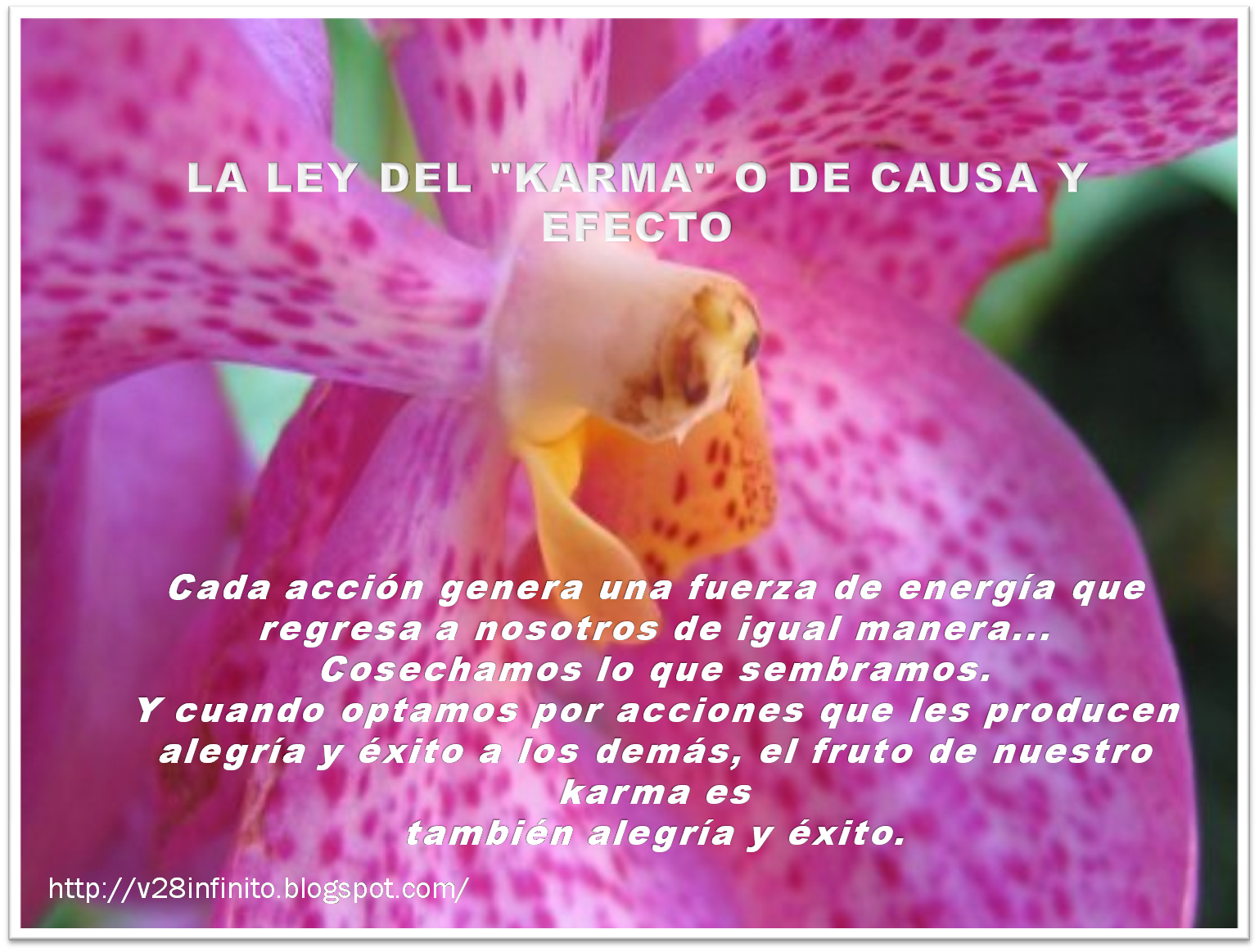 La Ley del Karma o de Causa y Efecto/The Law of Karma or Cause and Effect