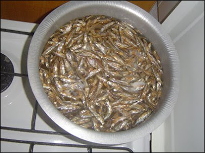 i s a a c k i n . com: lunchtime leo"UGALI DAGAA NA TEMBELE"