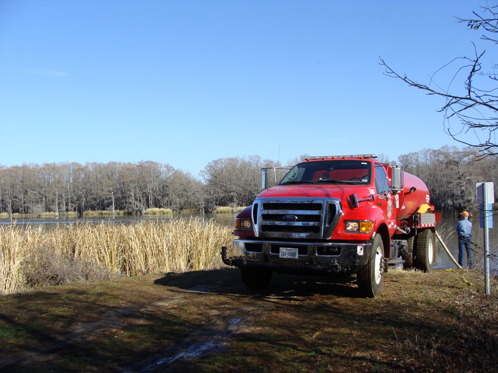 Caddo Lake Giant Salvinia Eradication Project: Refilling Weevil / Giant ...