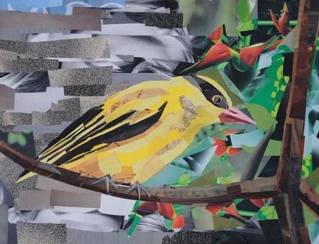 Collage Artist - Megan Coyle