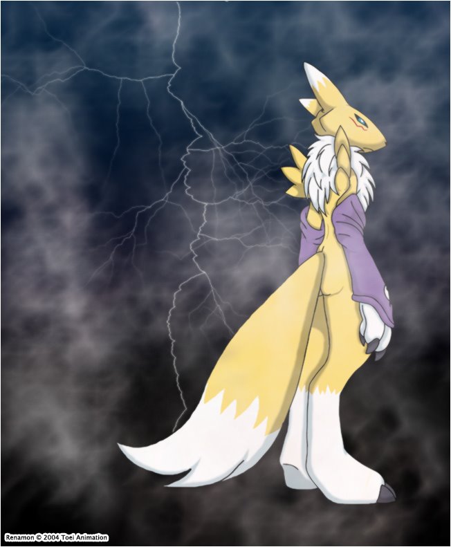 Renamon la petite nouvelle