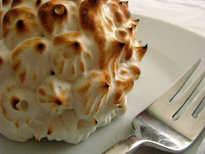 CakeWalk: Baked Alaska: Daring Baker's Challenge August 2010