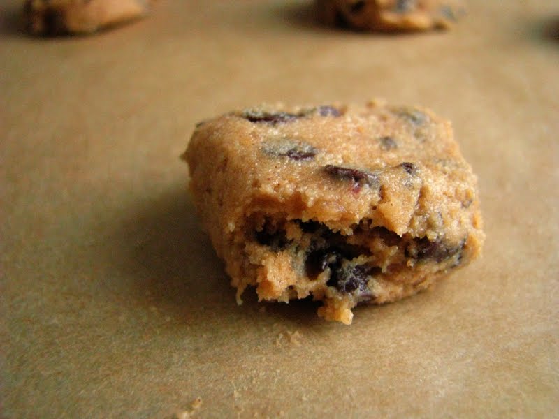 CakeWalk: Sprouted Wheat Cookies, or In Which I Try Not to Really Want ...