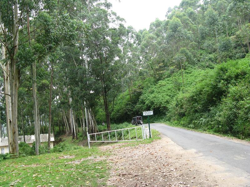 Straight Talk With Arch: The Wanderer: High Range Club, Munnar