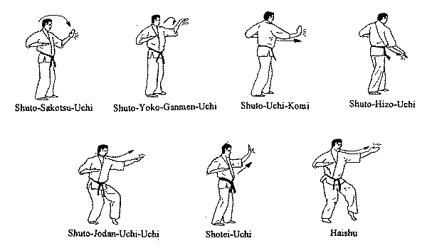 CLUBUL SPORTIV ATAC: KYOKUSHIN