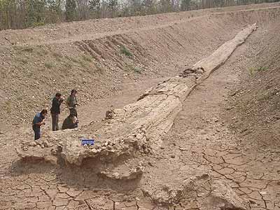 Metodos De Datacion En Antropologia - cita medico huelva