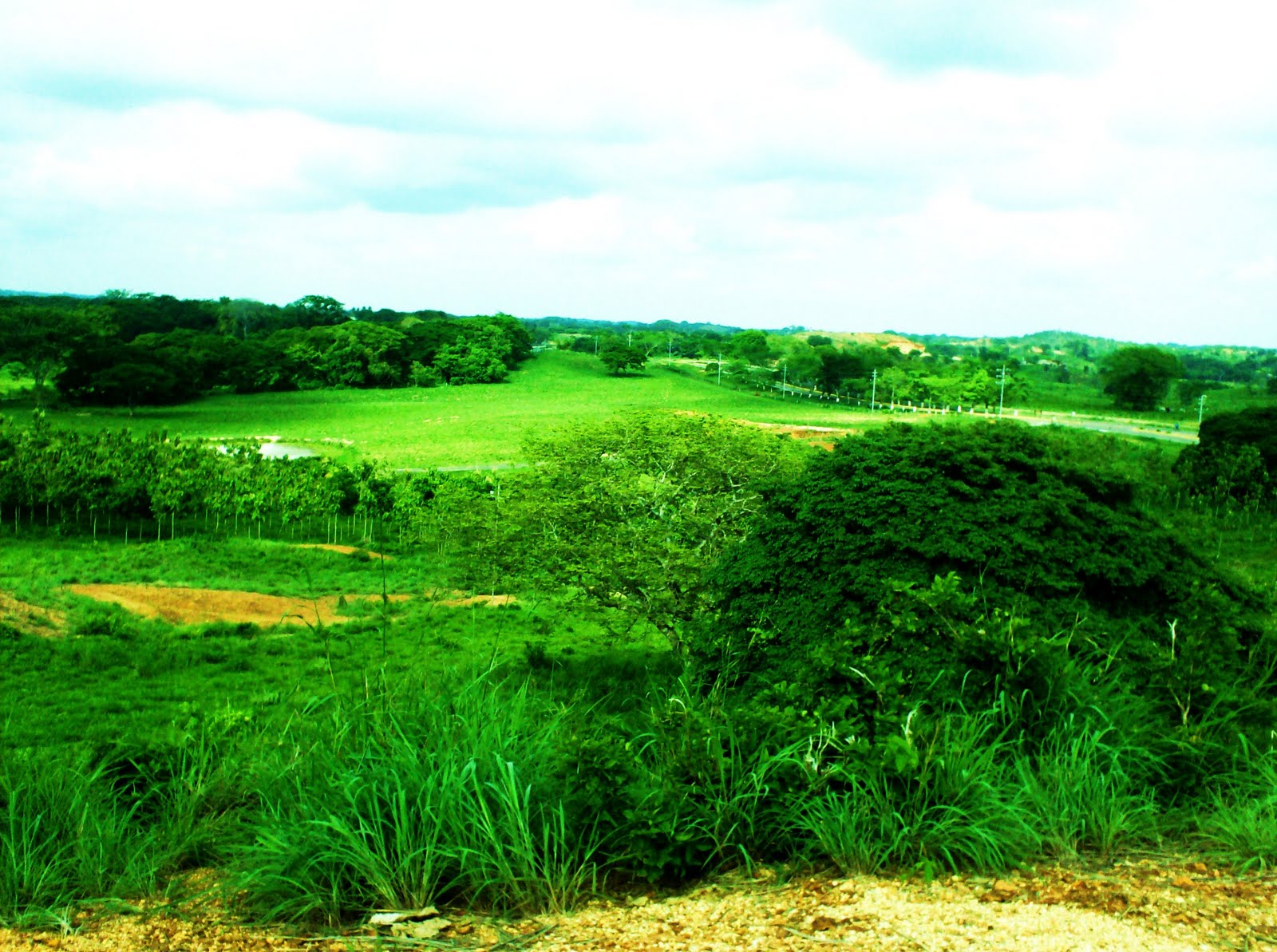 Ambiente y Comunicación: Nuestra Bello Machiques