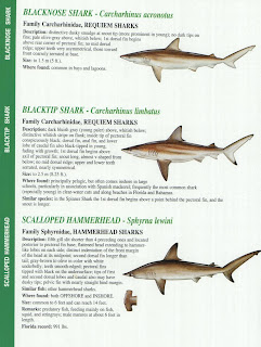 Crystal River Fishing Report: Florida Gulf Fish Identification Charts